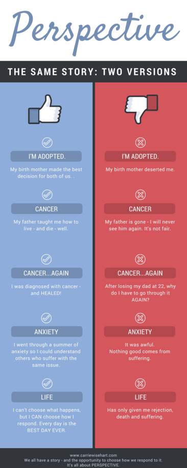 perspective: same story, two versions – Carrie Wisehart